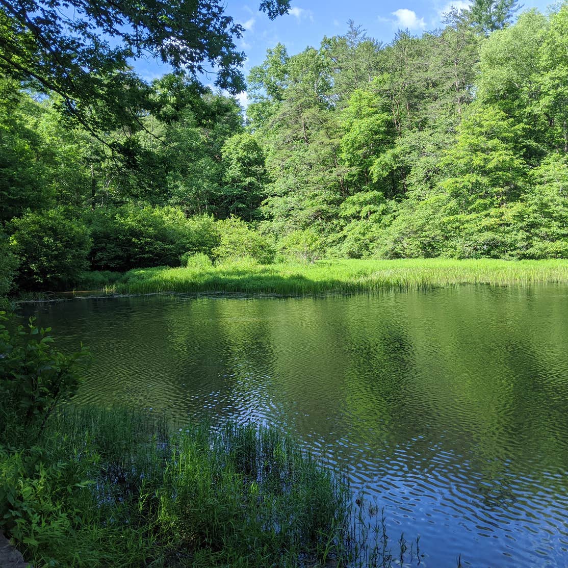 Dockery Lake Campground | Cleveland, GA