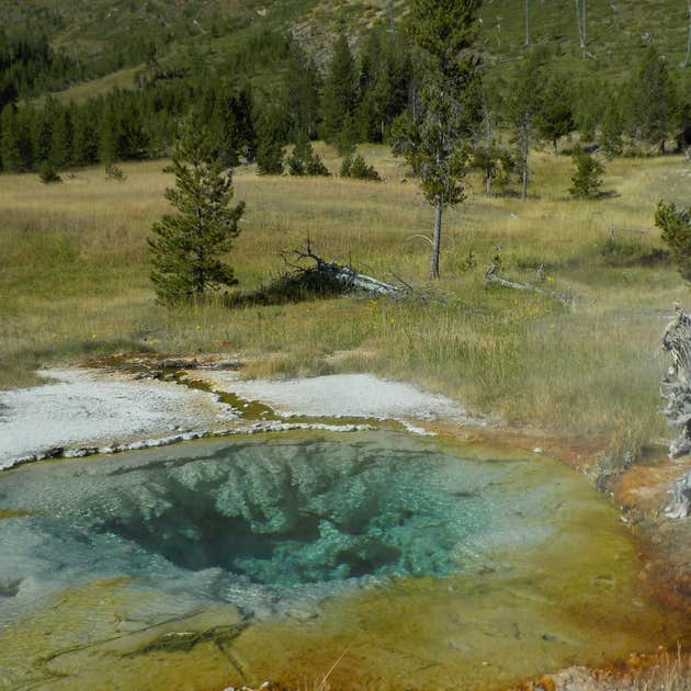 Heart Lake Trail - Yellowstone National Park — Yellowstone National ...