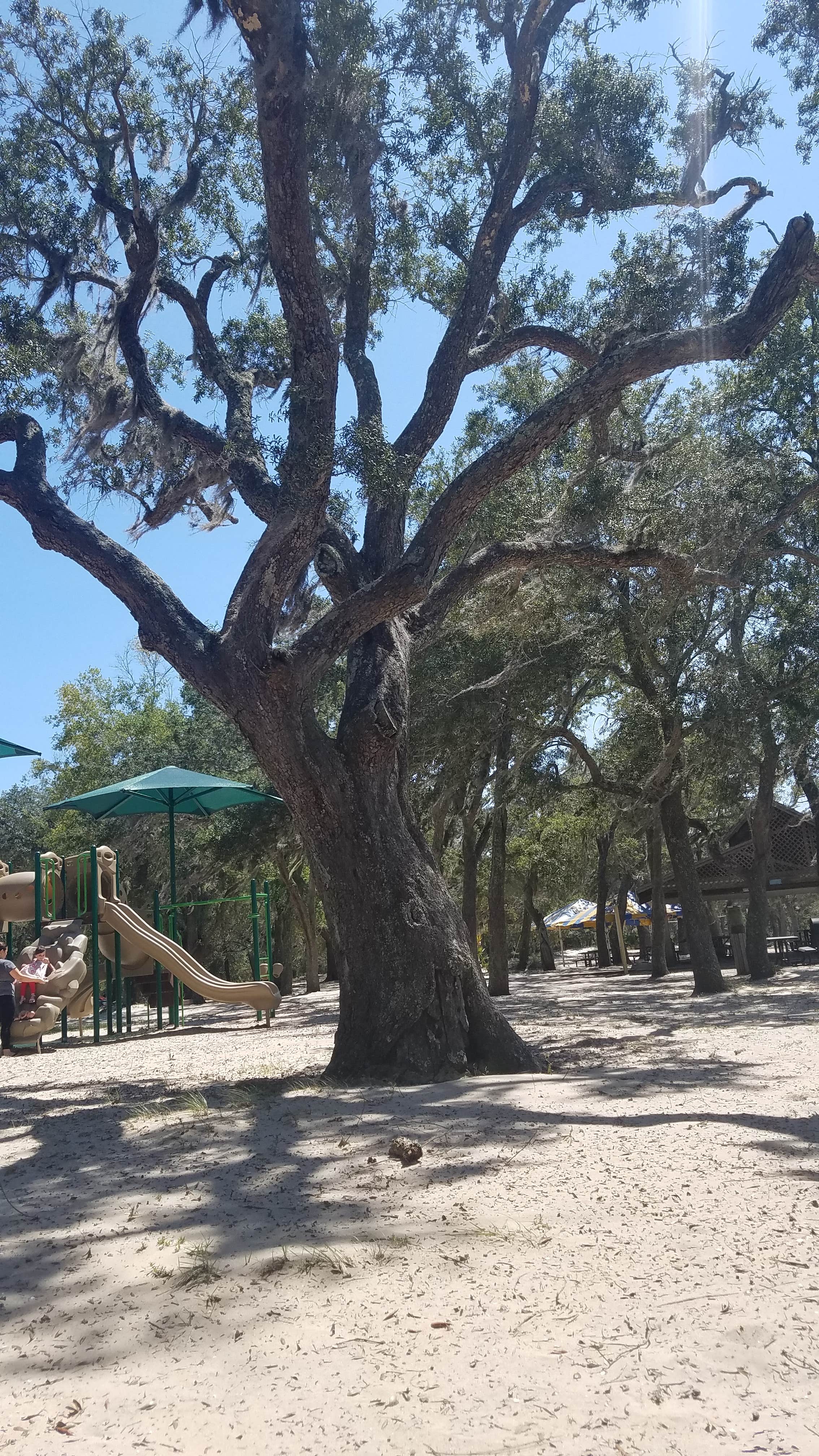 Blue Angel Park Camping | Lillian, Alabama