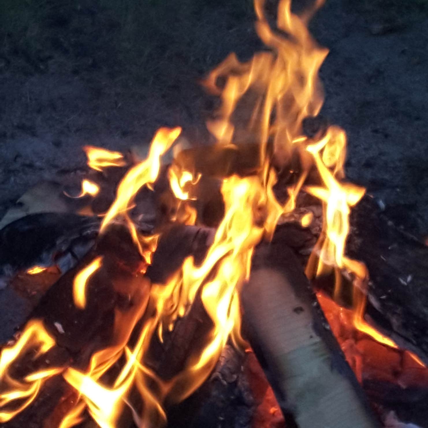 Trout Lake RV Park and Campground Camping | The Dyrt