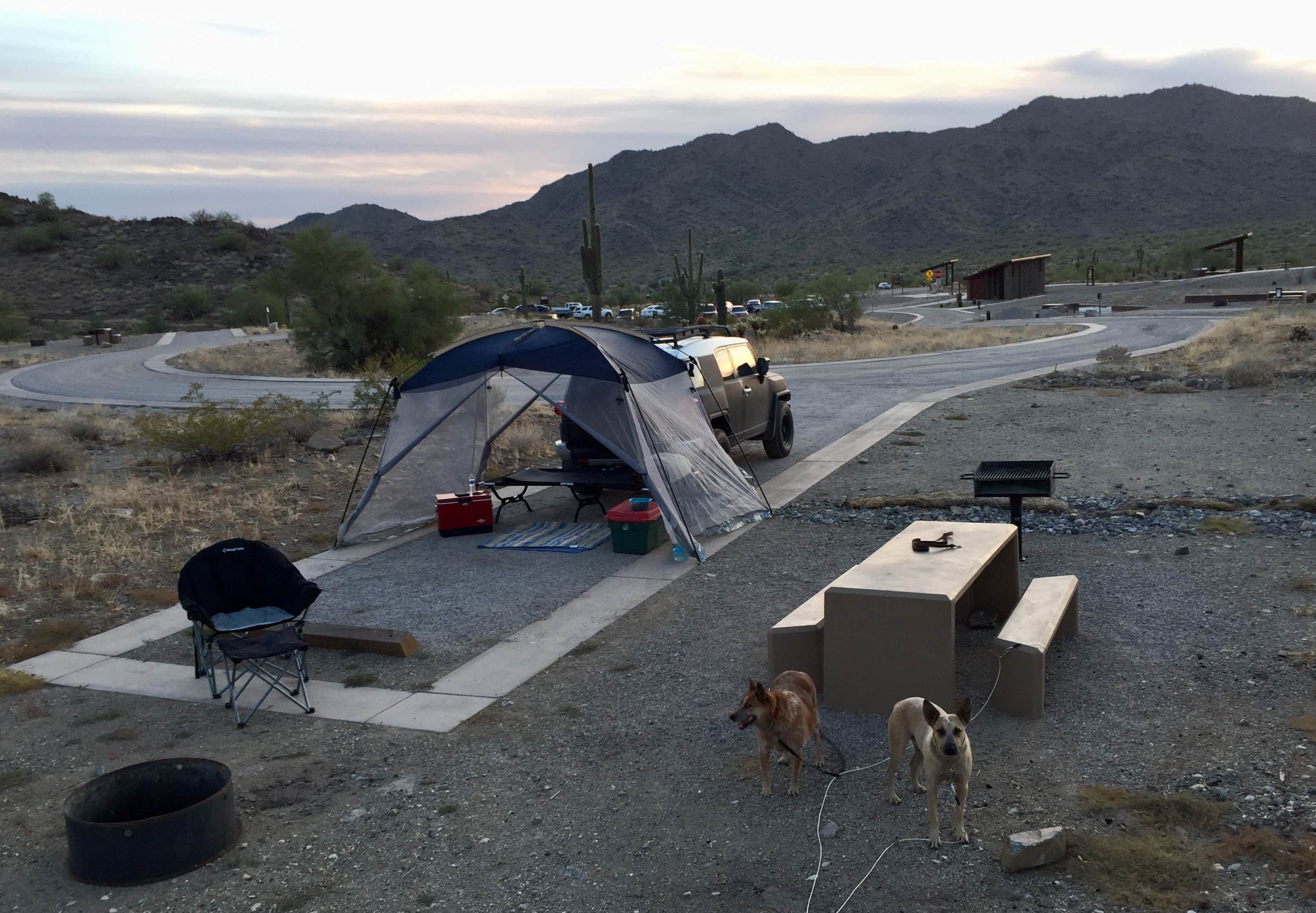 Skyline Regional Park Camping | Buckeye, Arizona