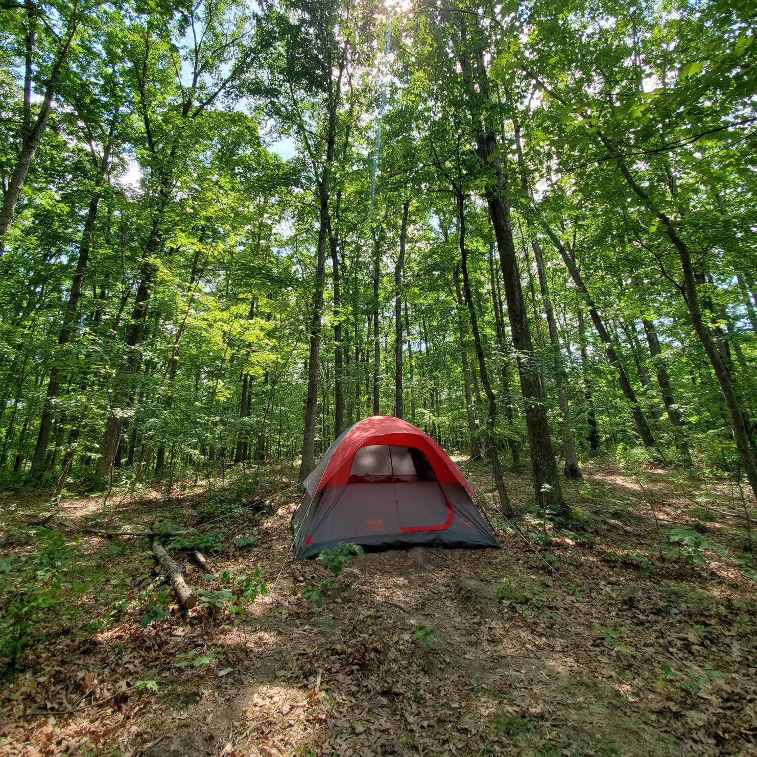 Green Ridge State Forest Camping | The Dyrt