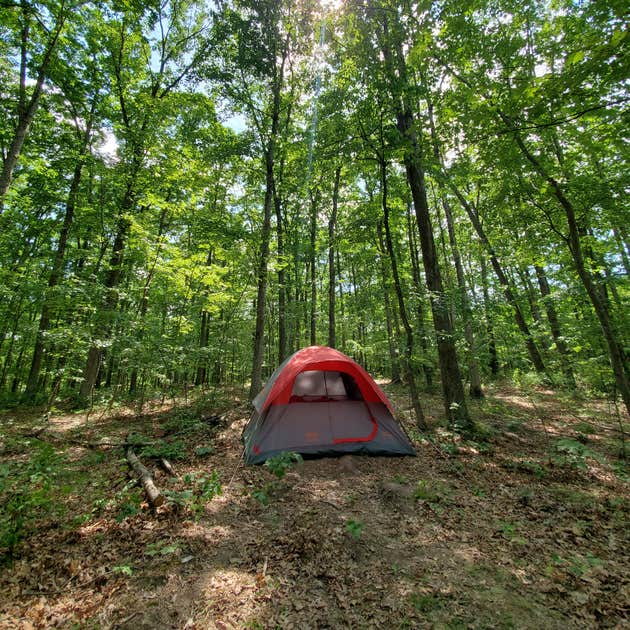 Green Ridge State Forest Camping | The Dyrt