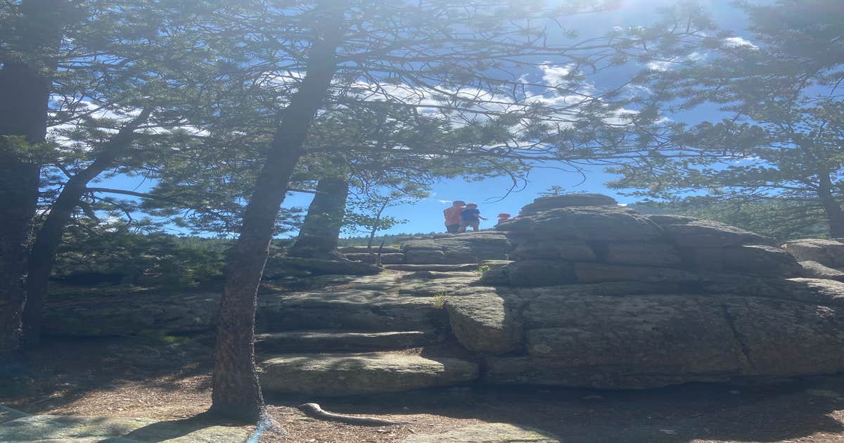 Frazer Meadow Campground — Golden Gate Canyon | Golden, CO