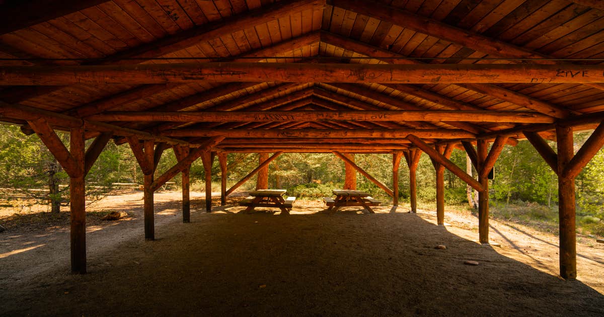 Campfire Ranch on the Taylor | Almont, CO