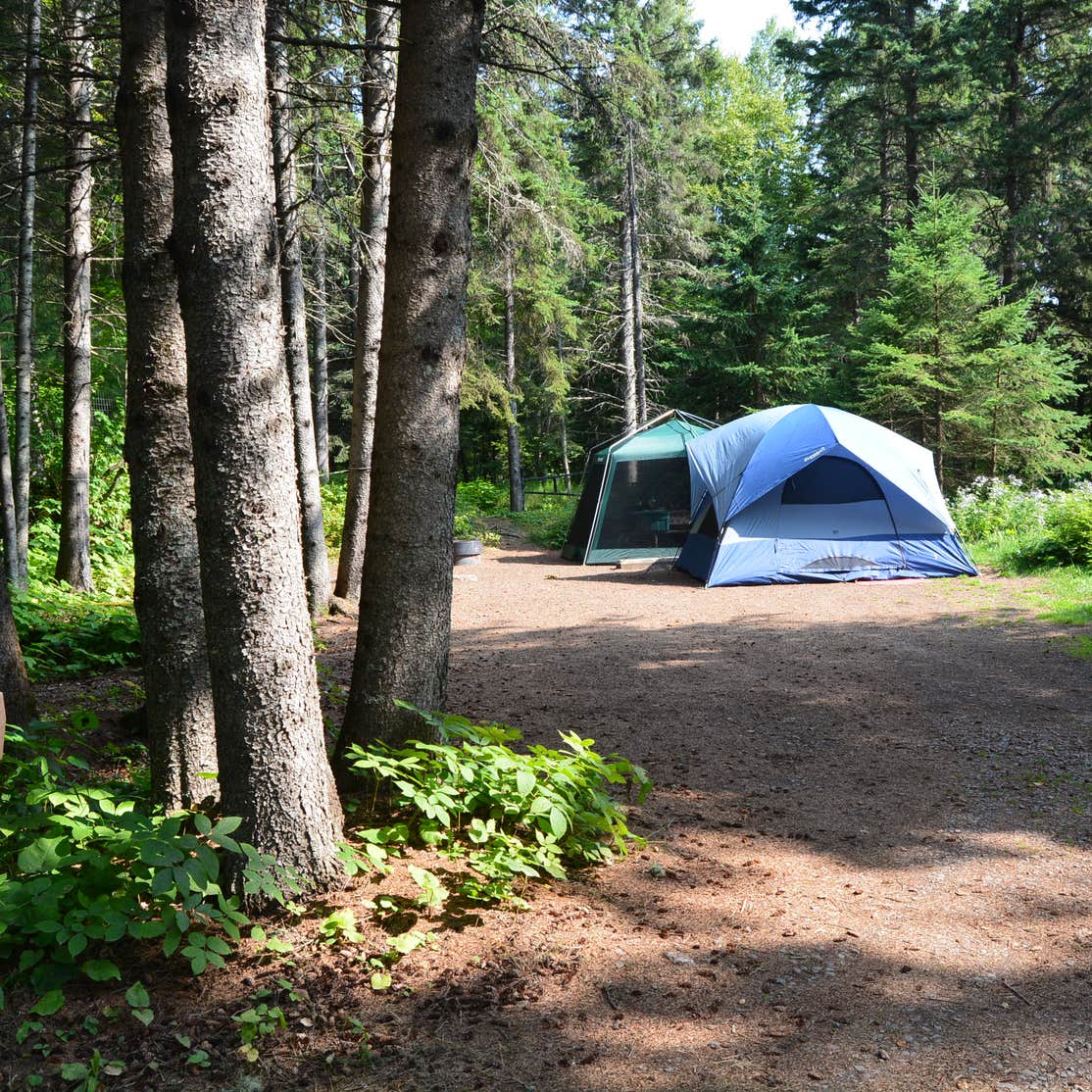 Judge Magney State Park Camping | The Dyrt