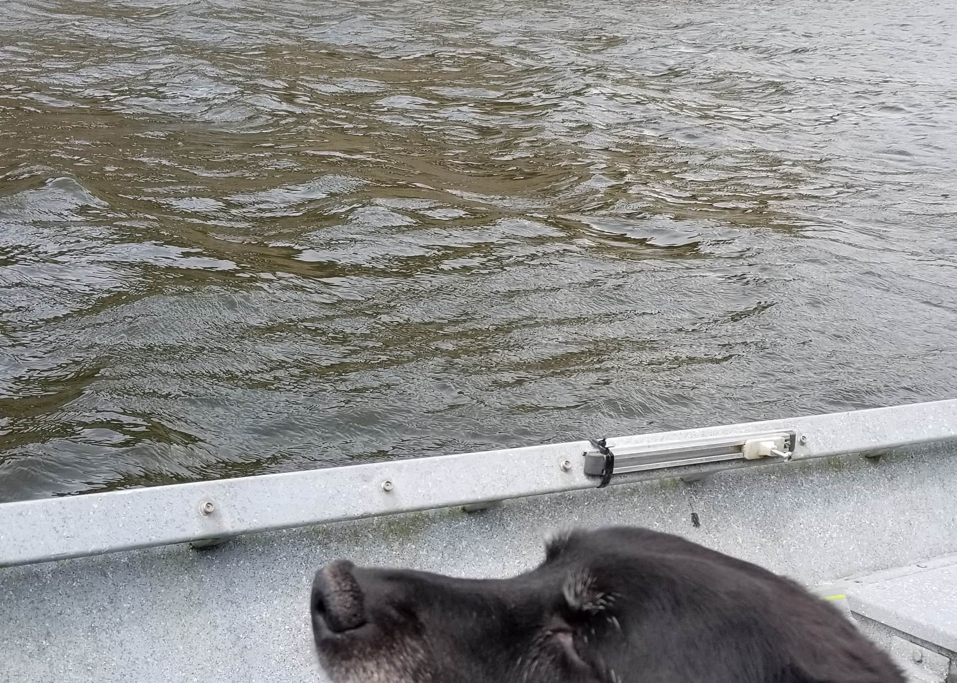 Pelton Park Campground Camping | The Dyrt