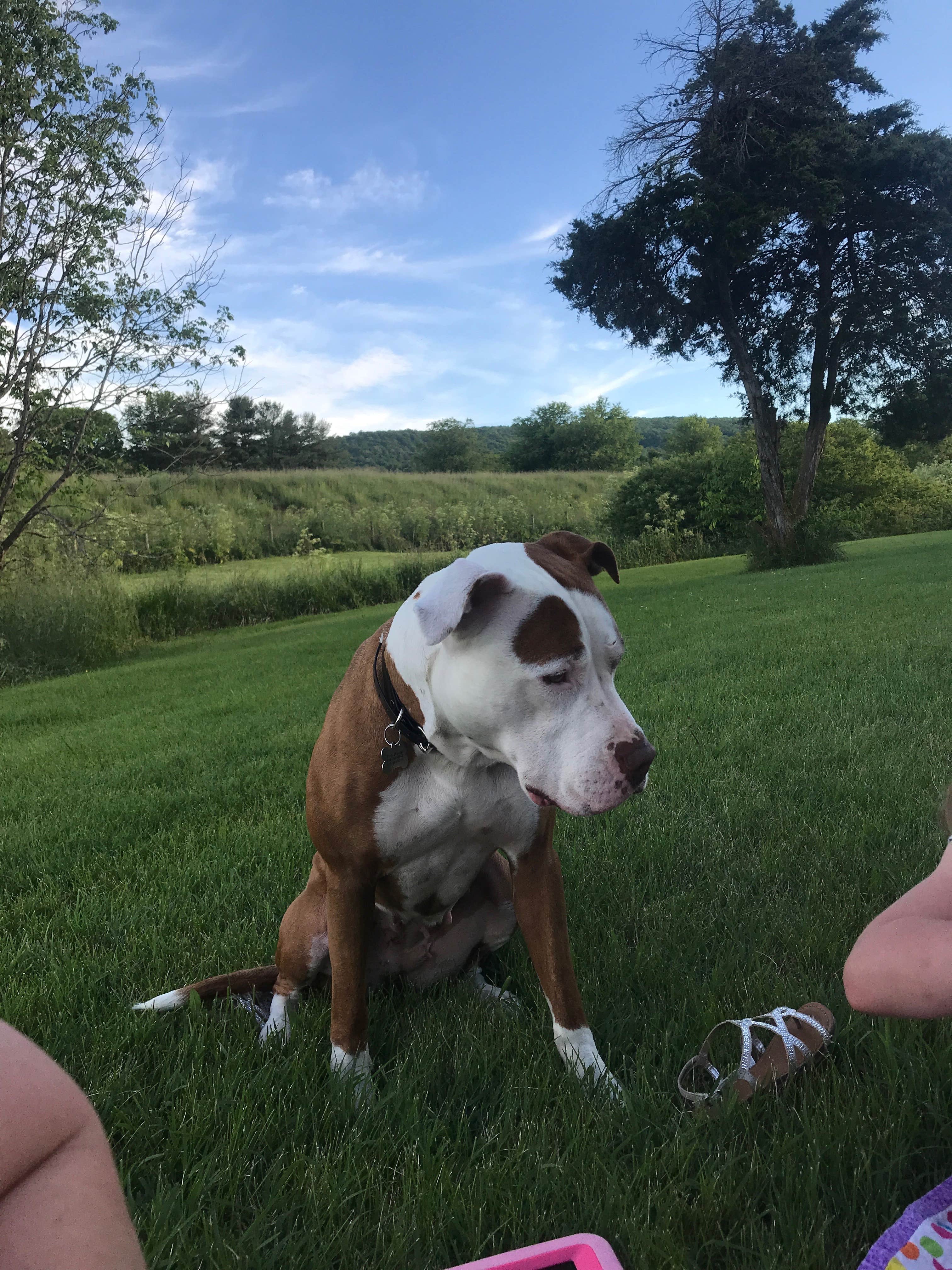 Fort Chiswell RV Park | Max Meadows, VA