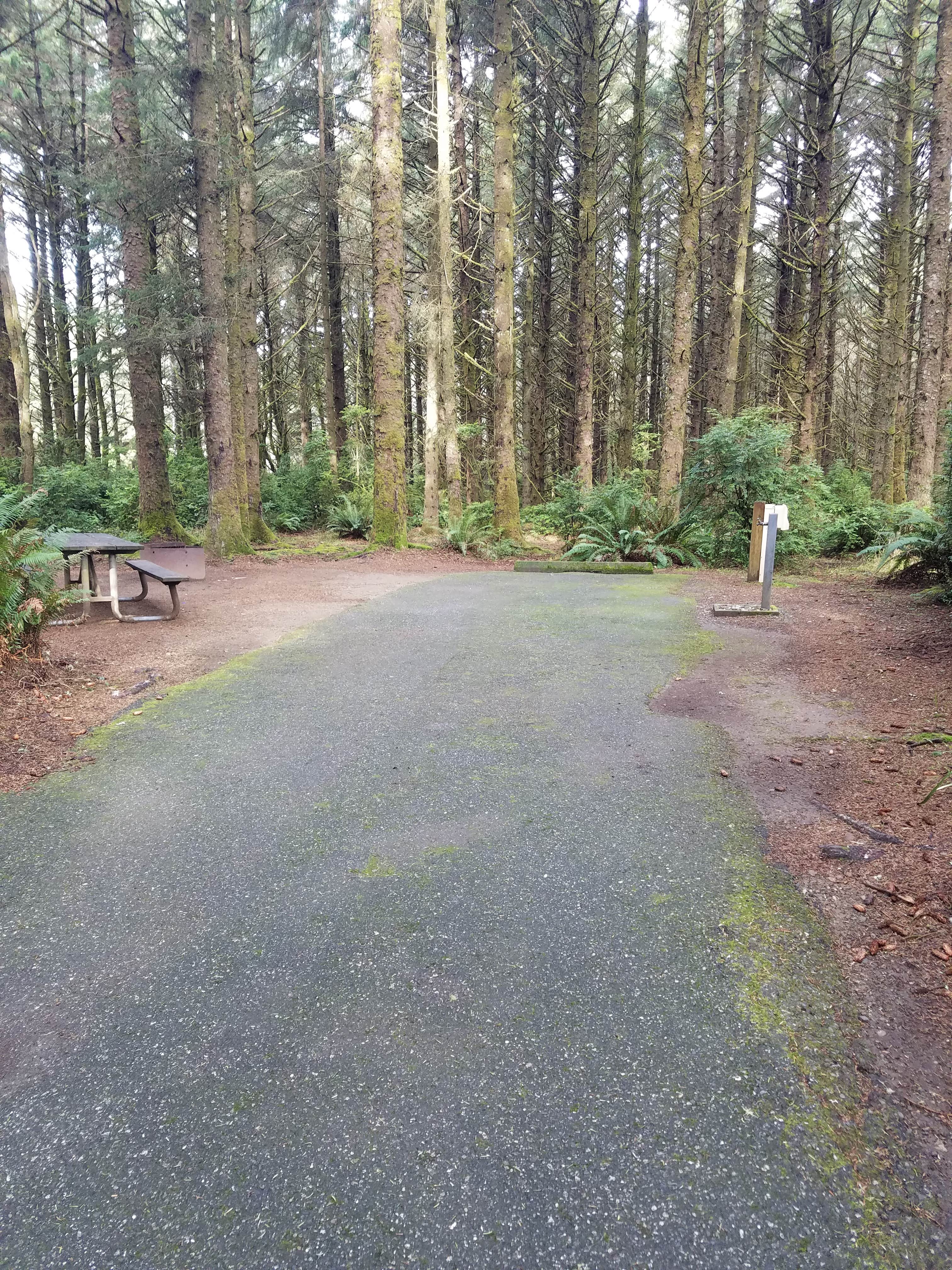 Cape Blanco State Park | The Dyrt