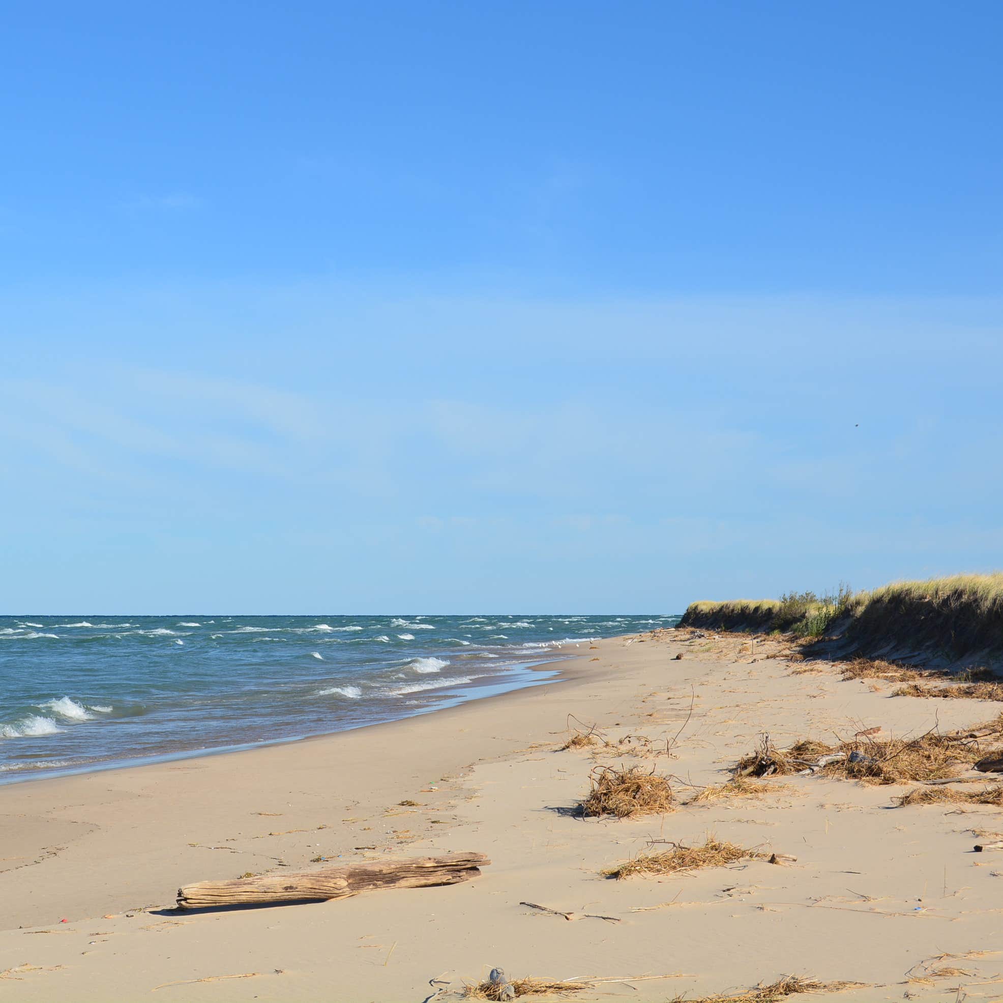 Riverside Park Campground Camping | The Dyrt