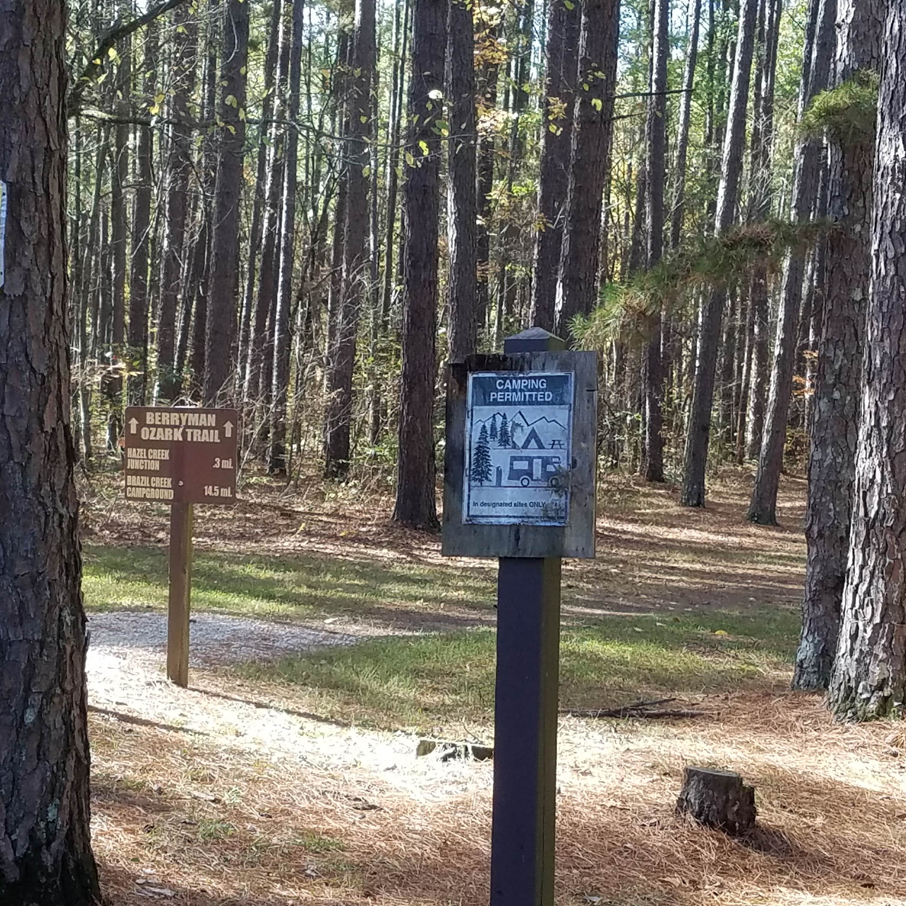 Berryman Trail & Campgrounds - Mark Twain National Forest Camping | The ...