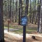 Berryman Trail & Campgrounds - Mark Twain National Forest Camping | The ...