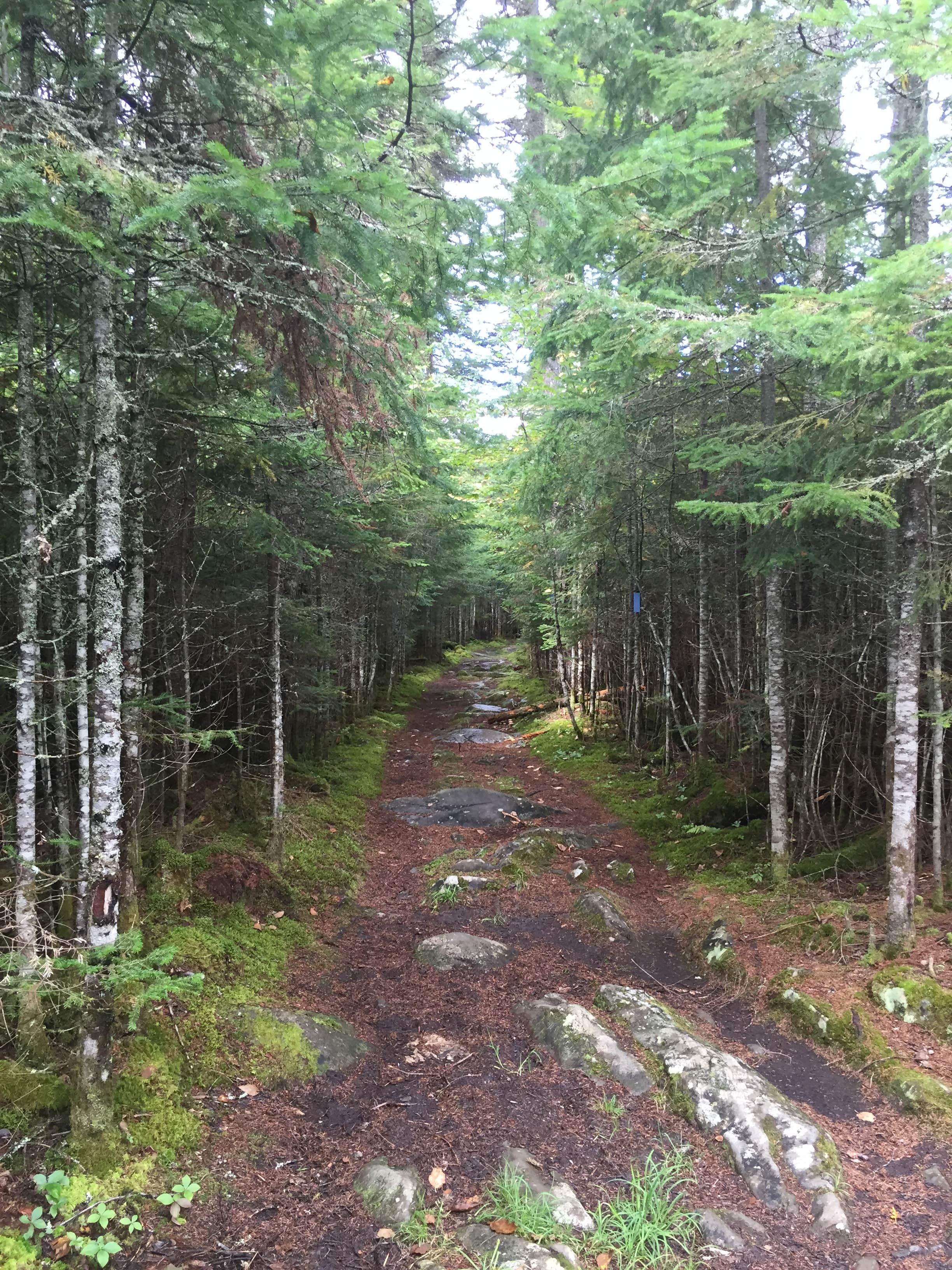 Deer Mountain Campground | Pittsburg, New Hampshire