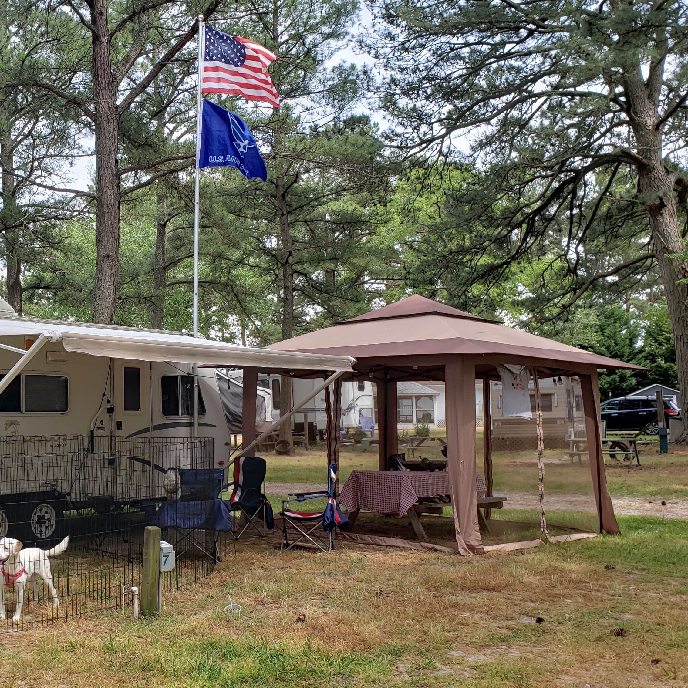 Pine Grove Campground Chincoteague