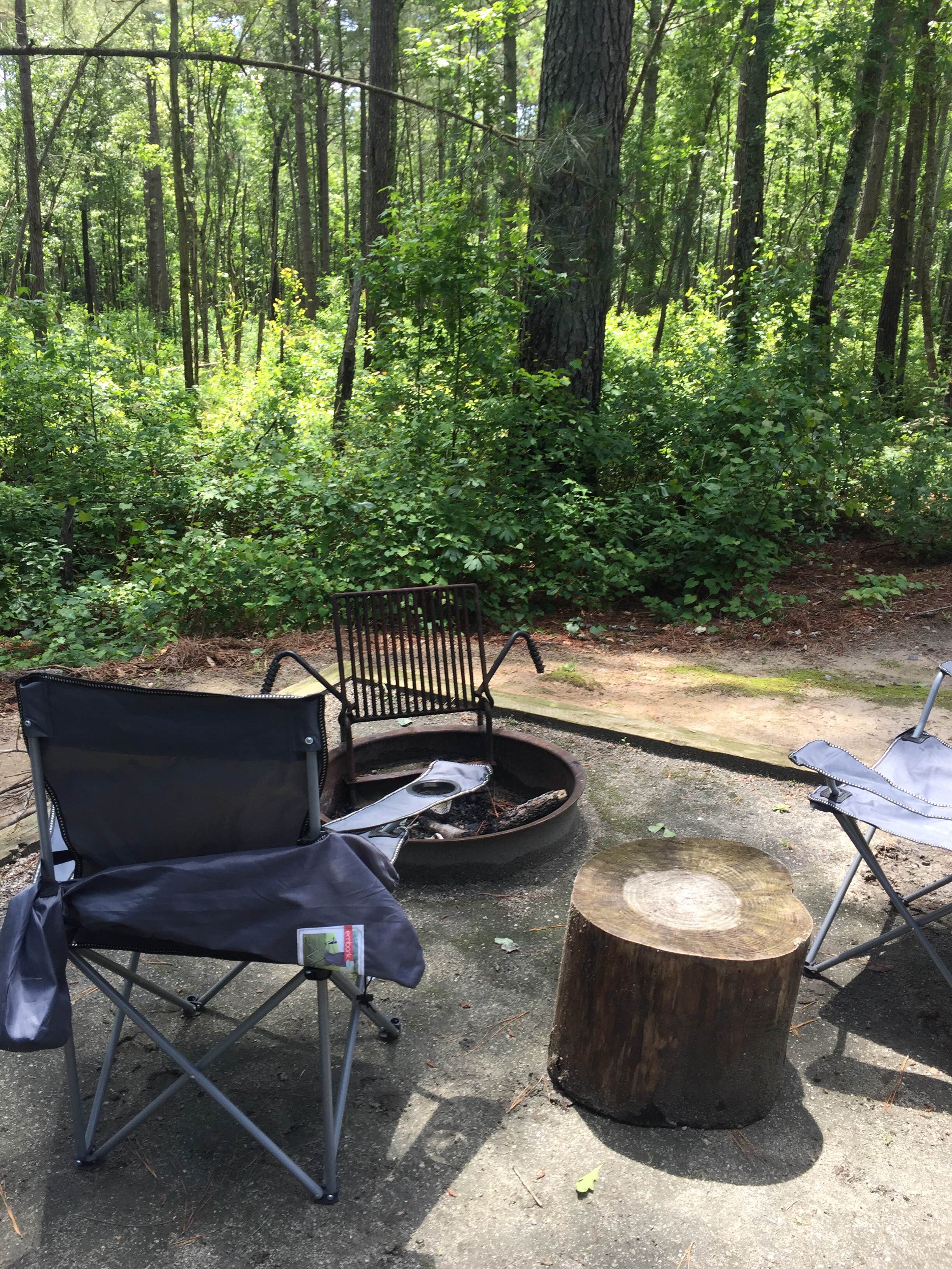 Chalk Banks — Lumber River State Park Camping | Orrum, NC