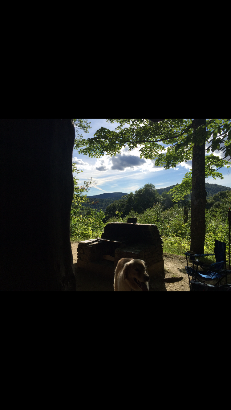 Calvin Coolidge State Park Camping | The Dyrt