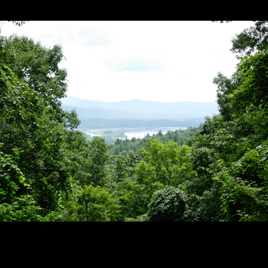 Fort Dummer State Park Camping | The Dyrt