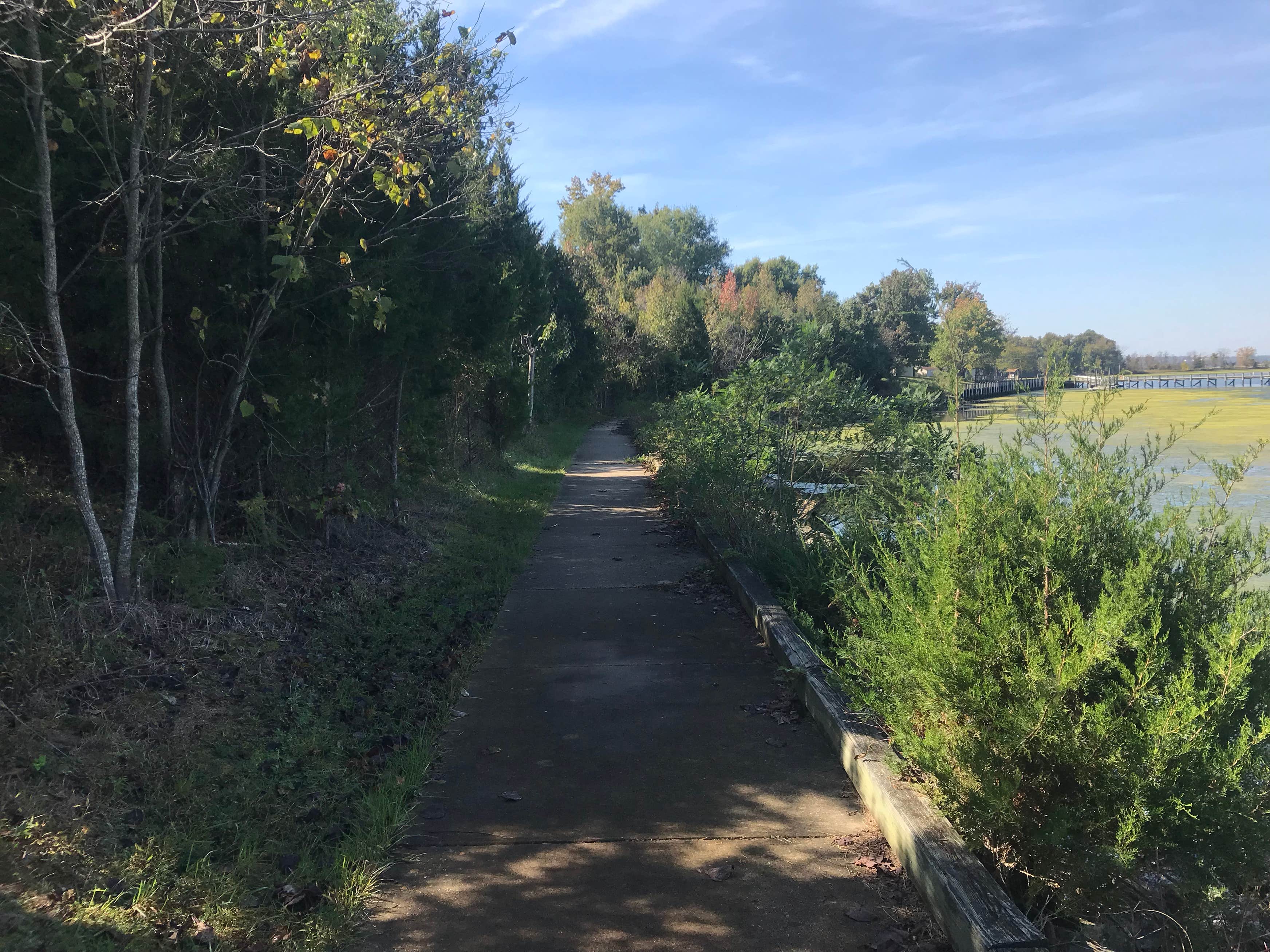 Smallwood State Park Camping | The Dyrt