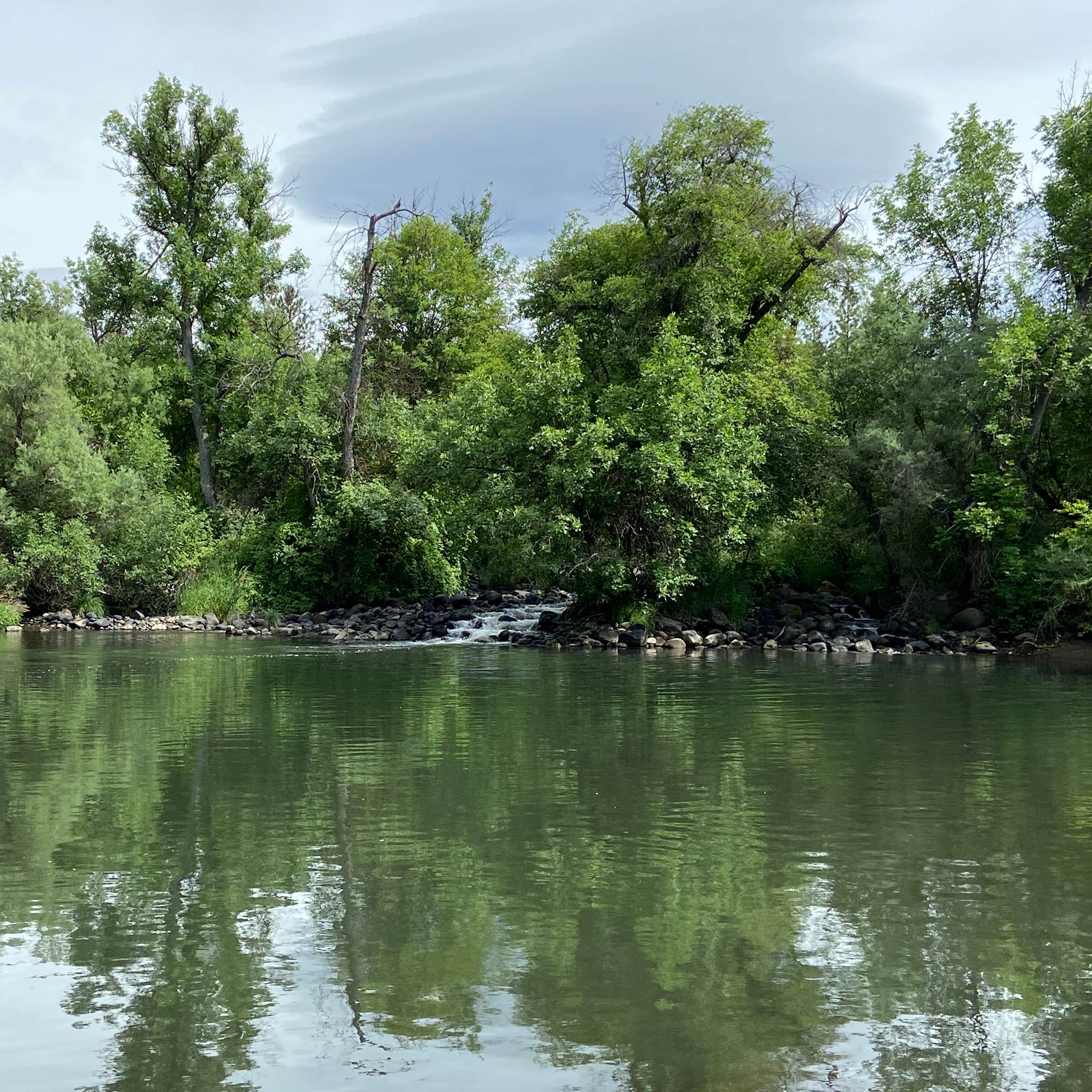 Pit River Campground Camping | The Dyrt