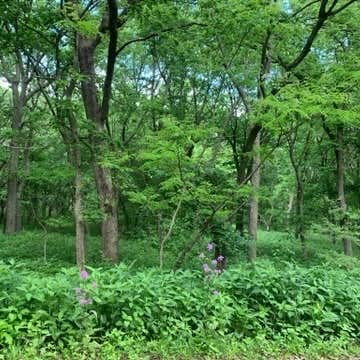 Village of Diller Park - Diller Campground | Diller, NE