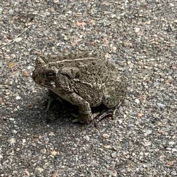 Village of Diller Park - Diller Campground | Diller, NE