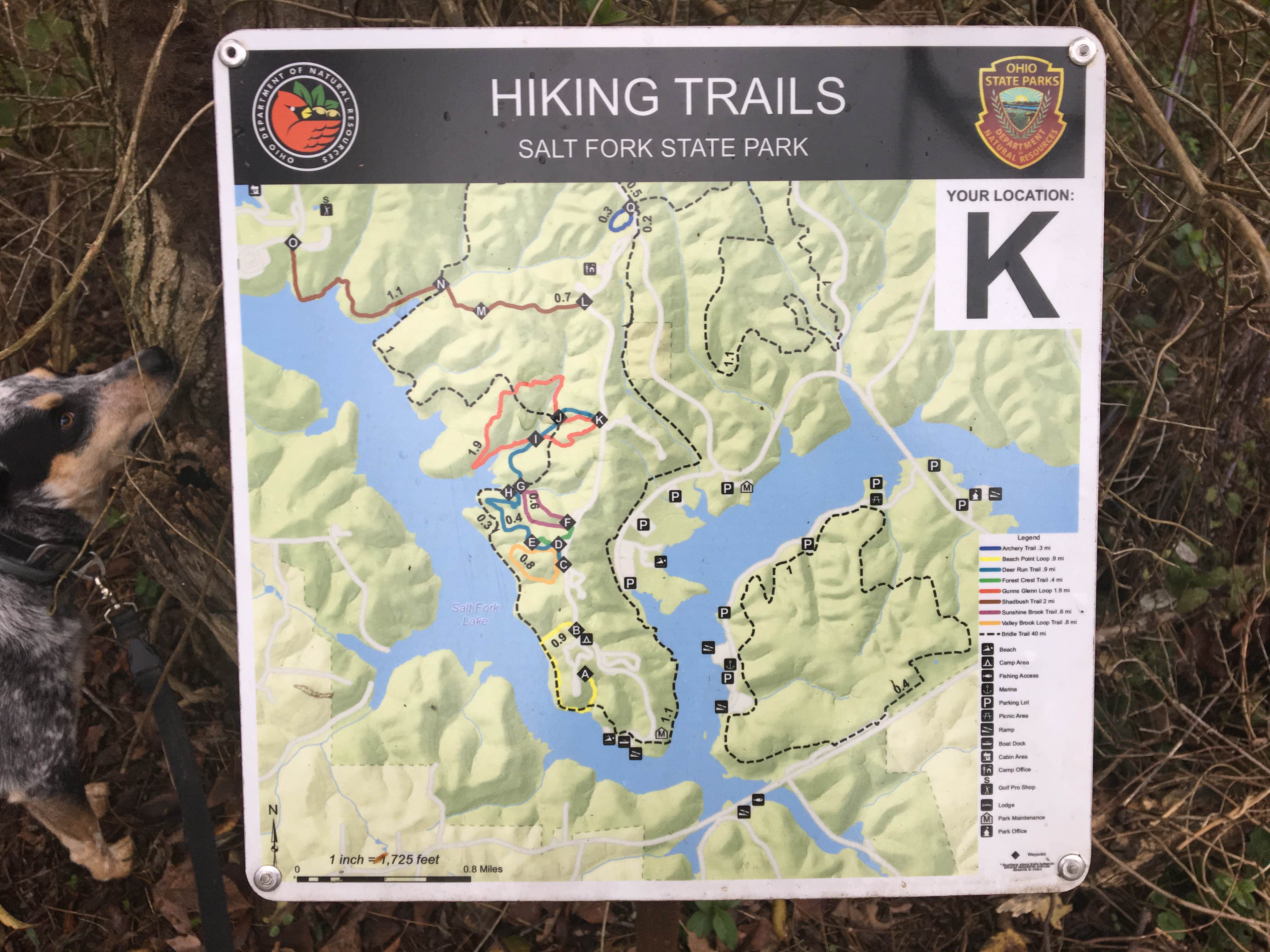 Salt Fork State Park Campground | Kimbolton, Ohio
