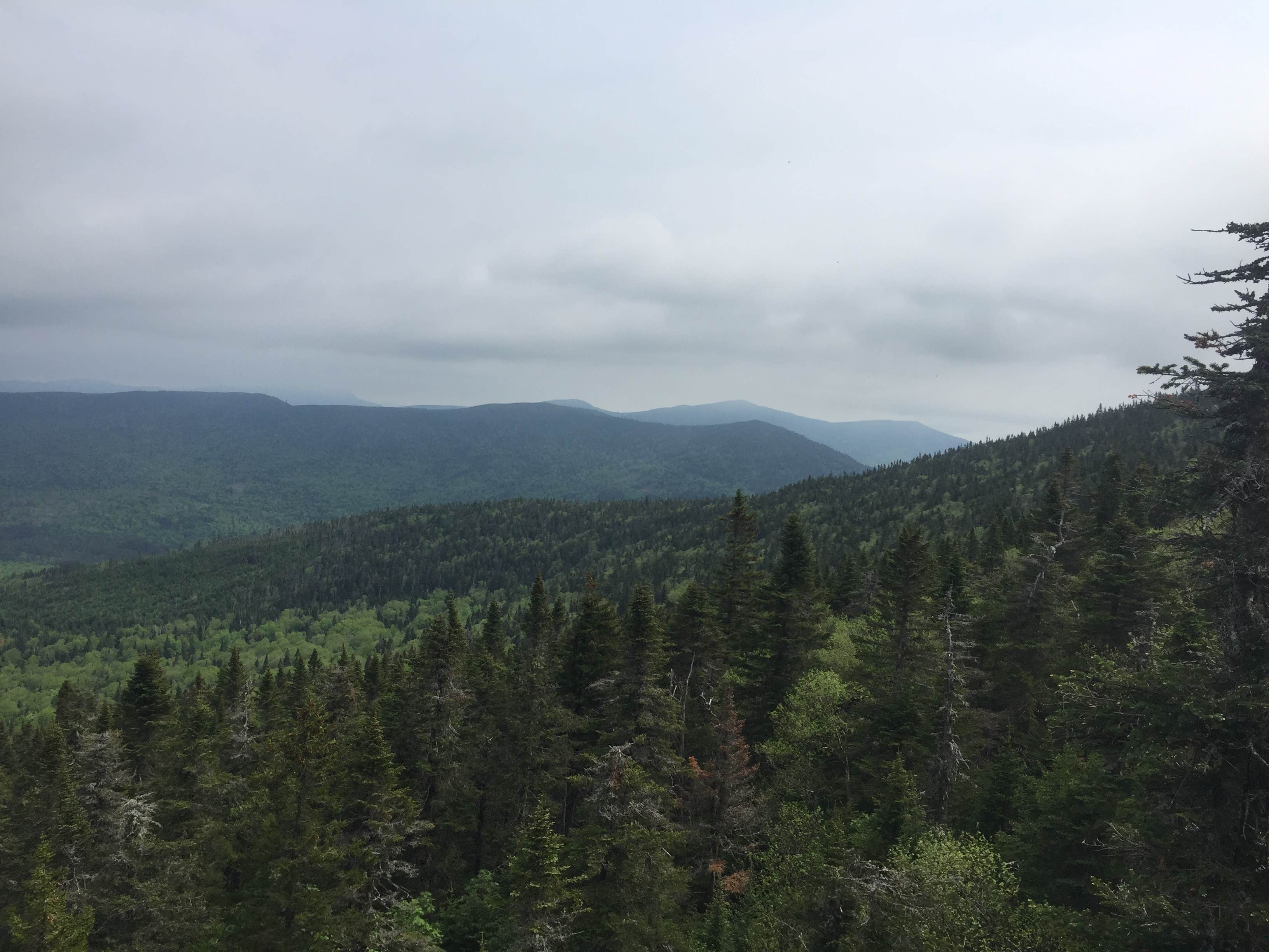 Wilgus State Park Campground | Springfield, VT