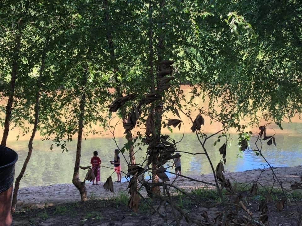 McIntosh Reserve Park Camping | Whitesburg, Georgia