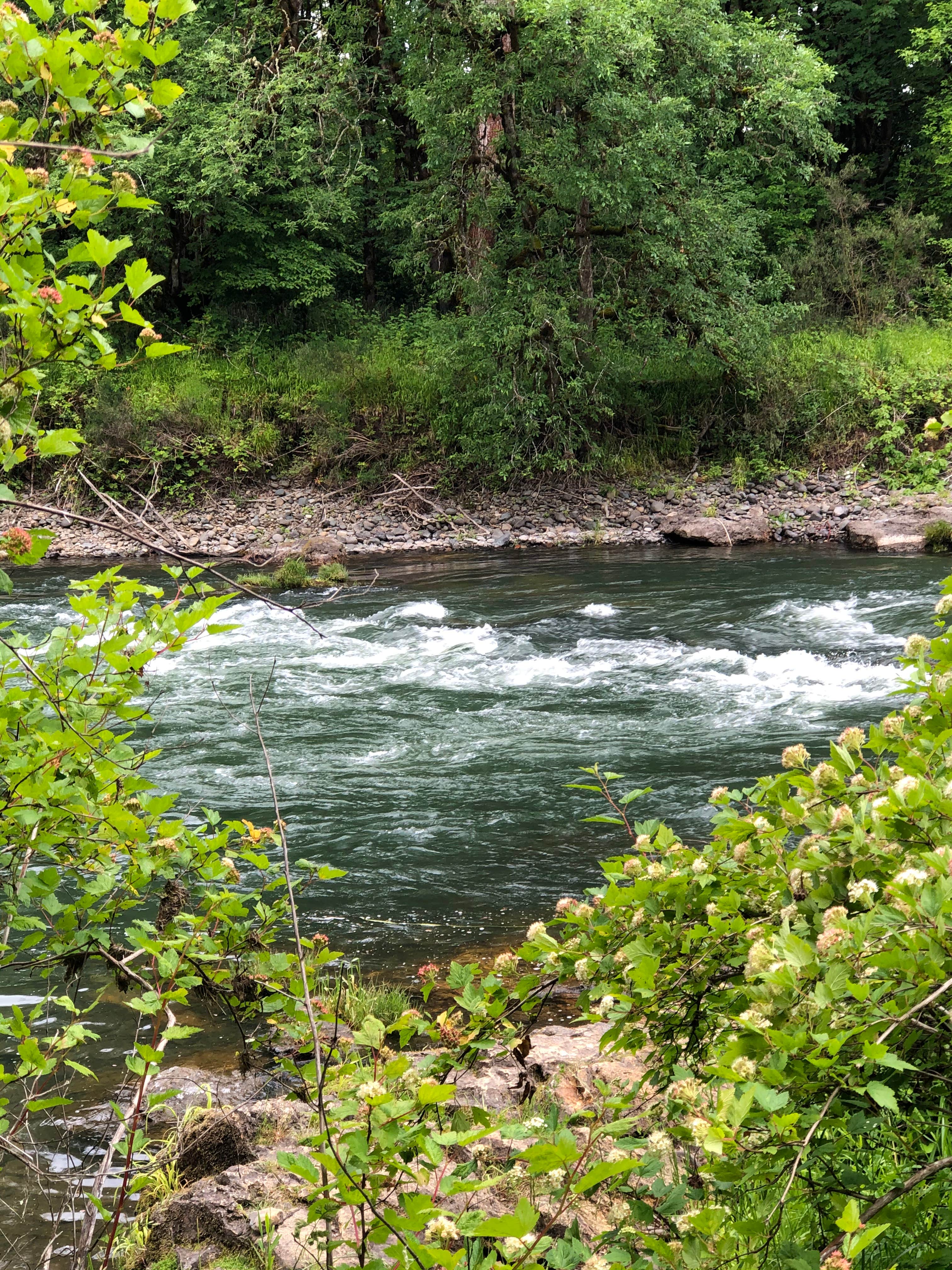 Waterloo County Park | The Dyrt