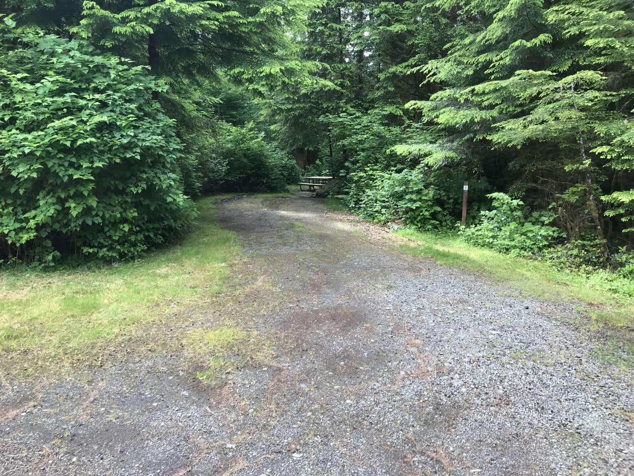 Bear Creek Campground | Sappho, WA