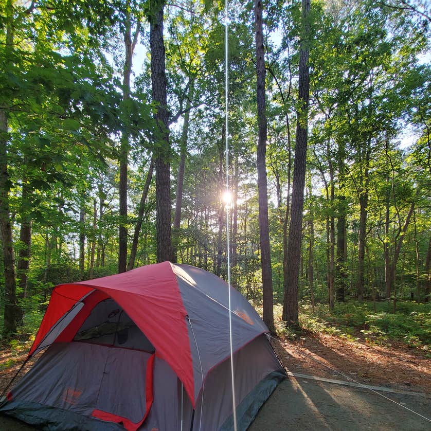 Pocomoke River State Park Camping | The Dyrt