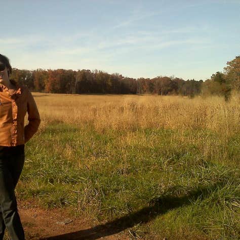 Bull Run Regional Park Camping | The Dyrt