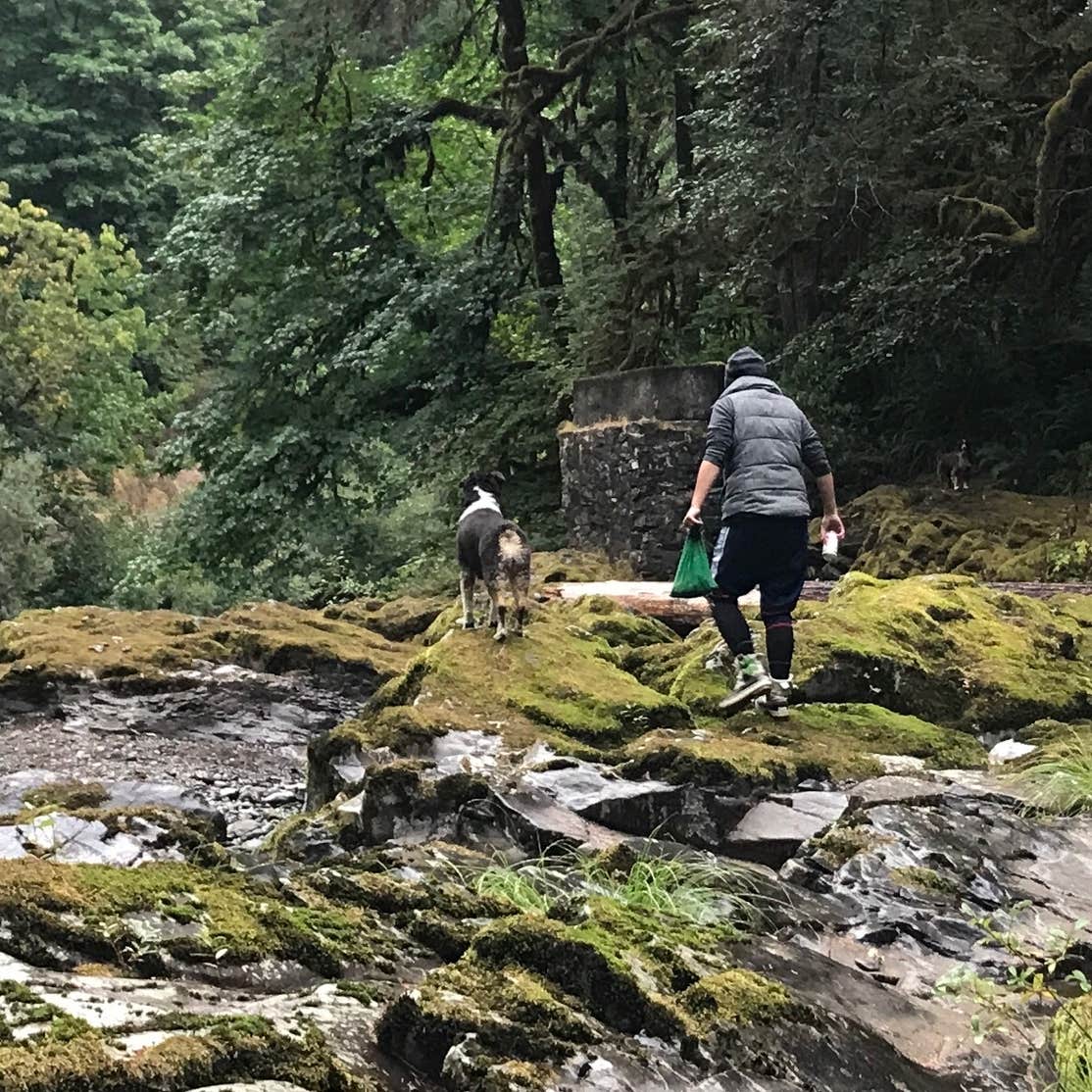 Longbow Organization Group Camp | Cascadia, Oregon