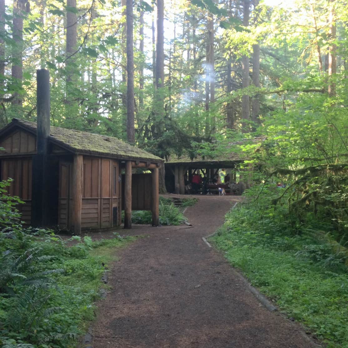 Longbow Organization Group Camp | Cascadia, Oregon