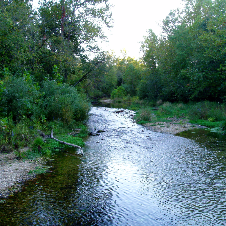 Mill Creek (missouri) Camping | The Dyrt
