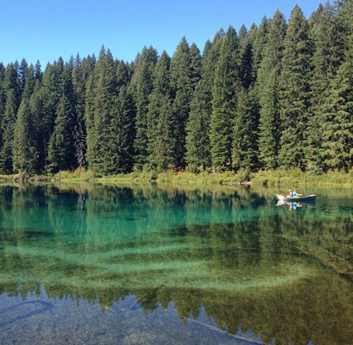 Belknap Hot Springs Lodge and Gardens Camping | Willamette National ...