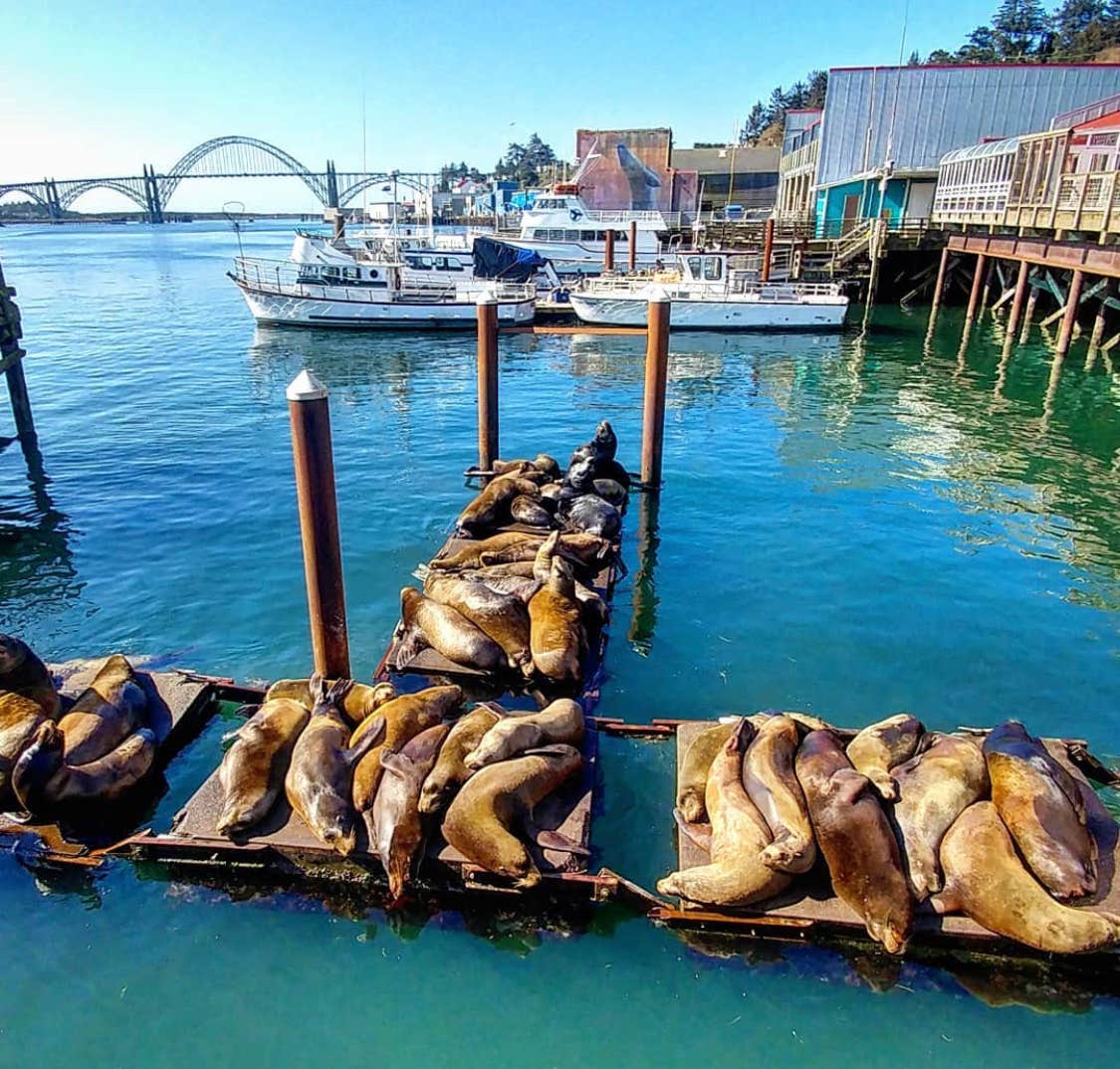 Port of Newport RV Park & Marina | Newport, OR