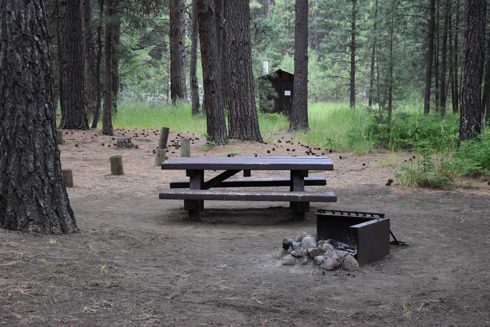 Cold Springs Campground (or) Camping | The Dyrt