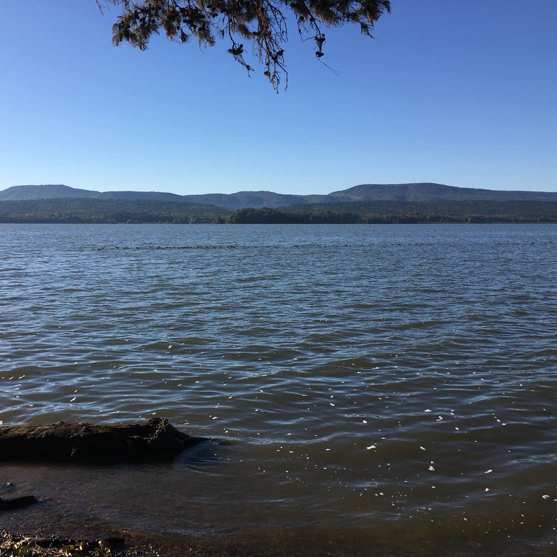 Delaware Park Camping | Dardanelle, Arkansas