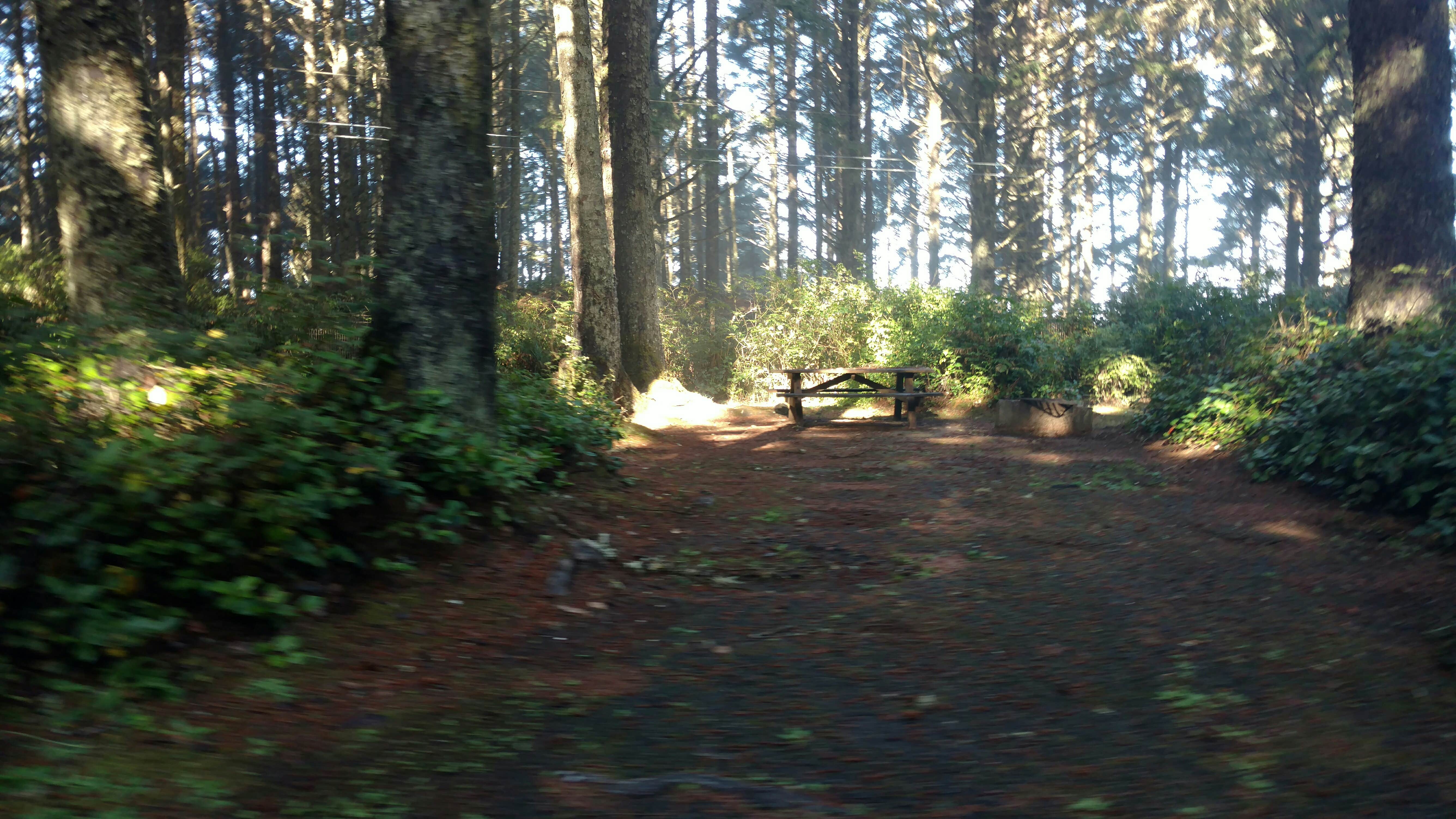 Bastendorff Beach Park Camping | Coos Bay, Oregon