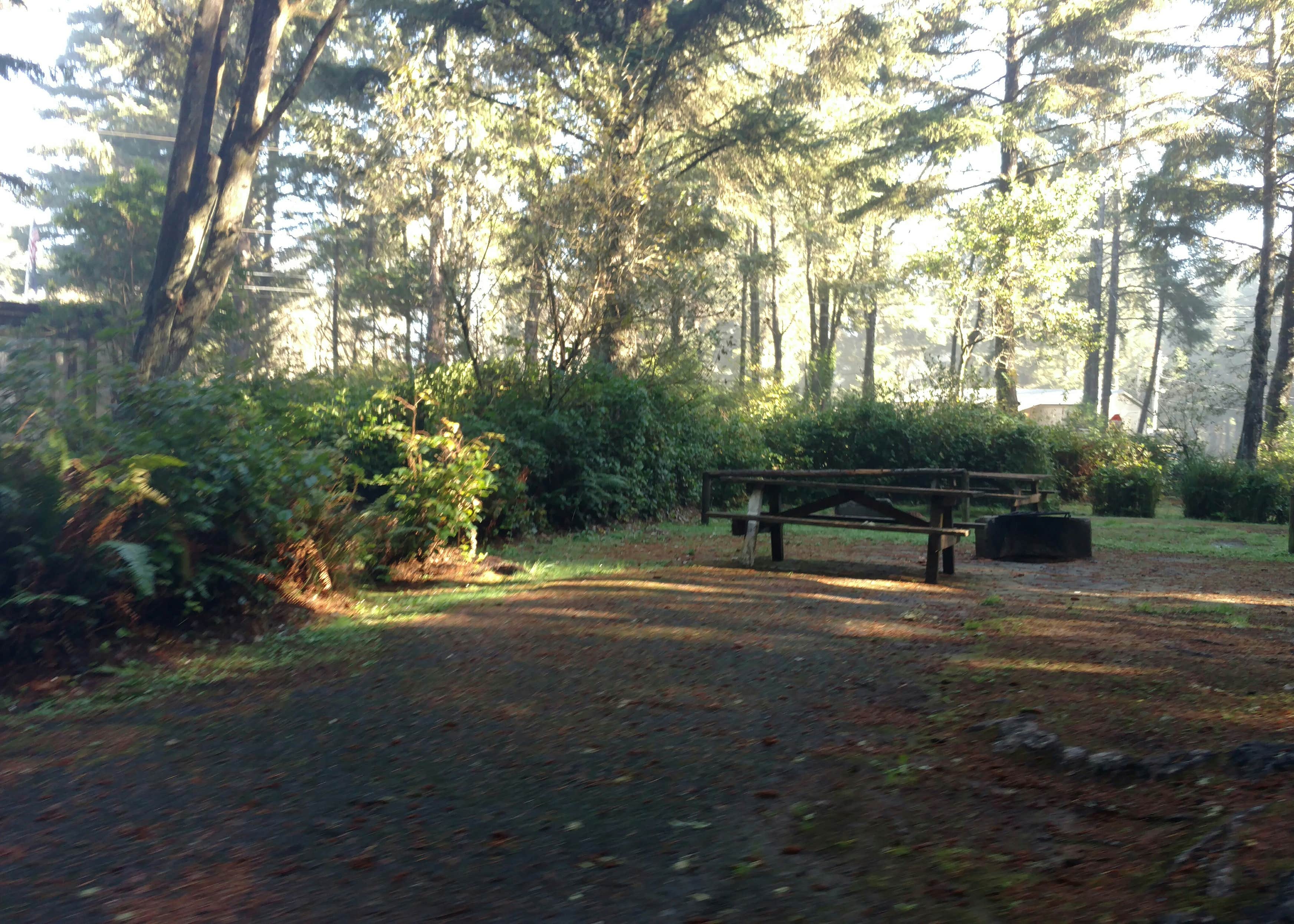 Bastendorff Beach Park Camping | The Dyrt