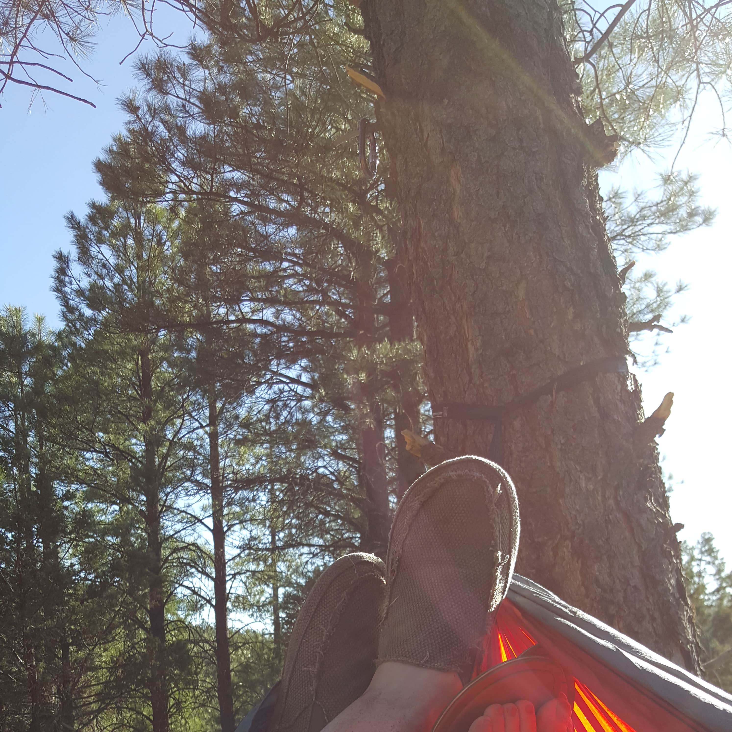 Clear Creek Camping | The Dyrt