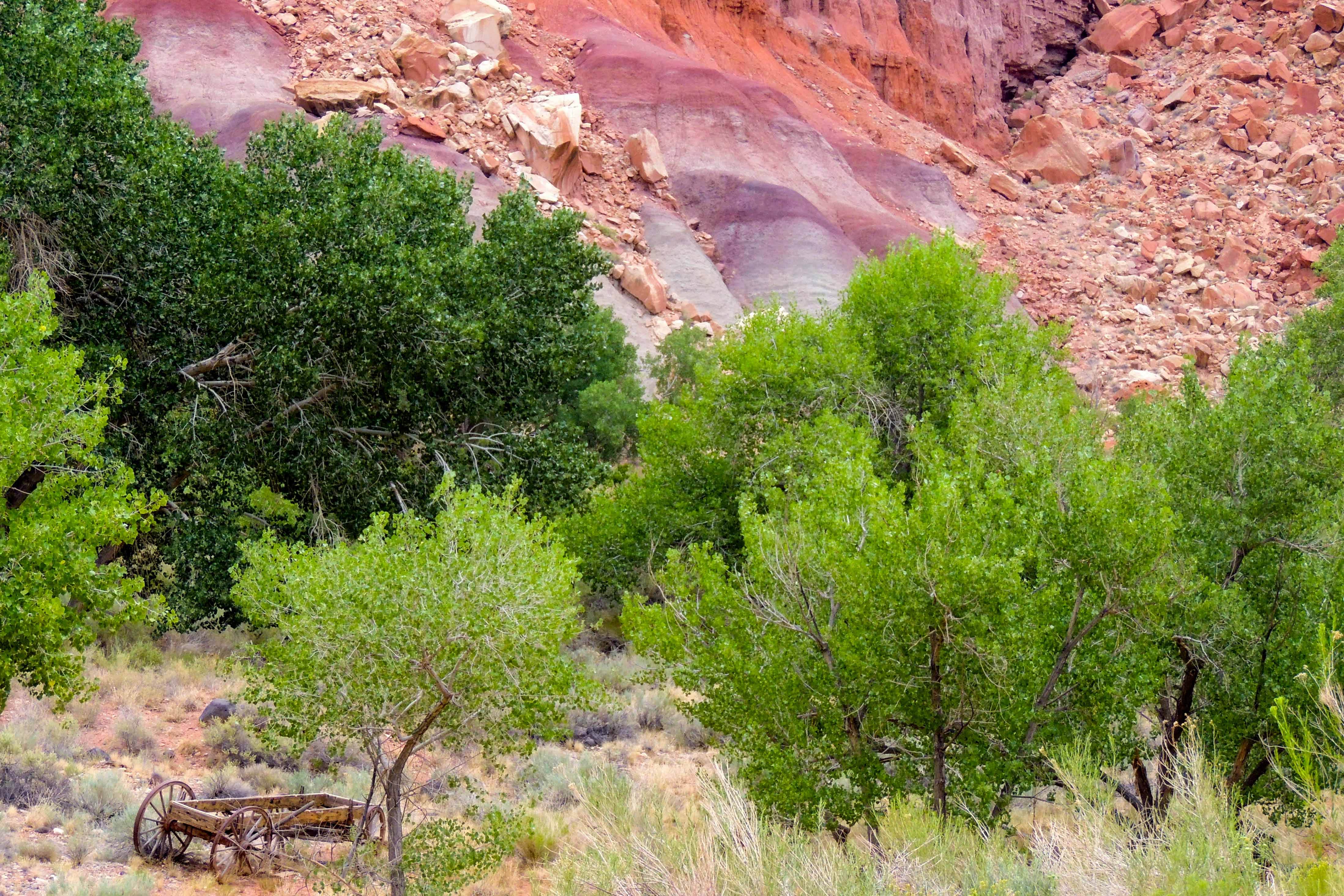 Best Campgrounds near Boulder, UT