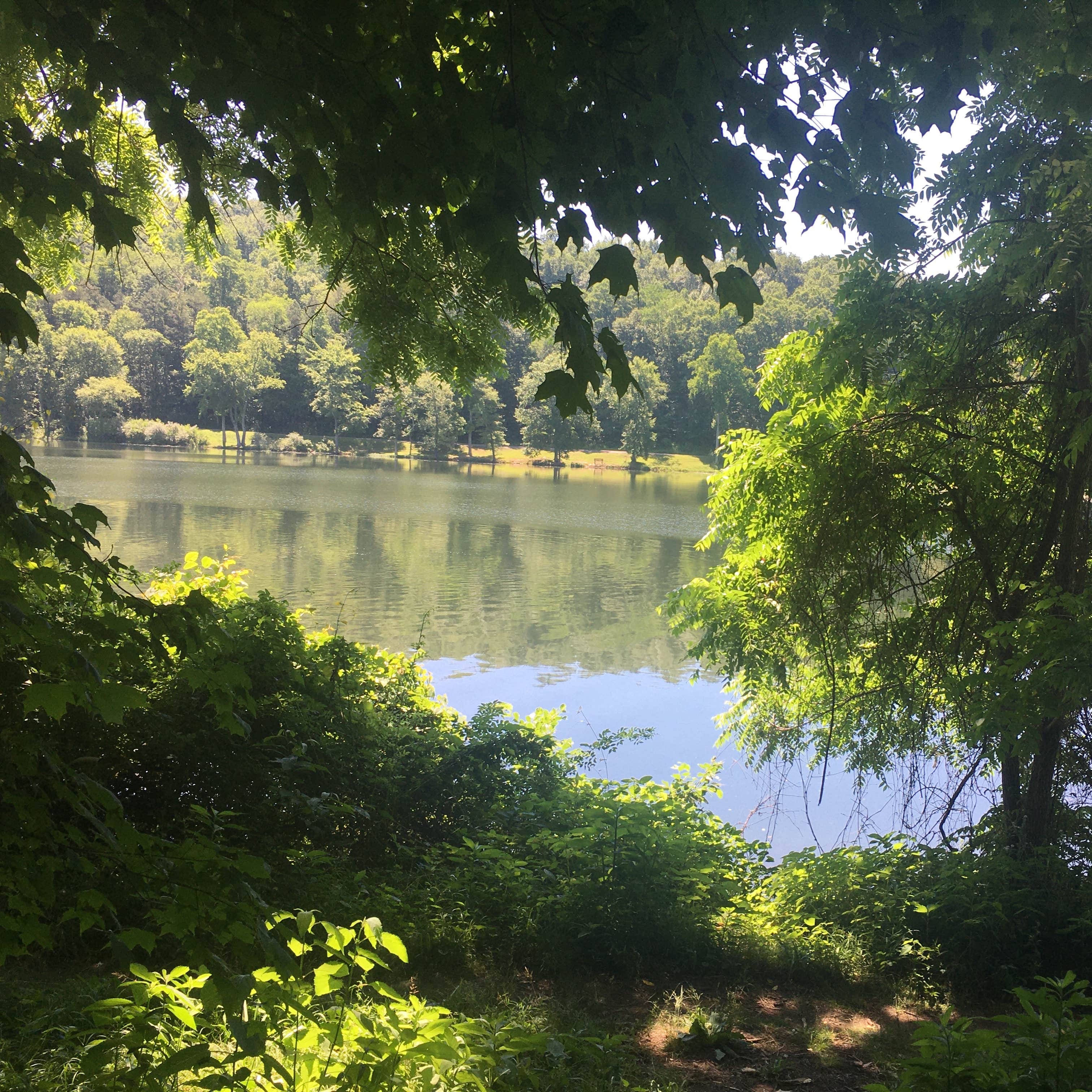 Lake Alma State Park Campground | Wellston, OH