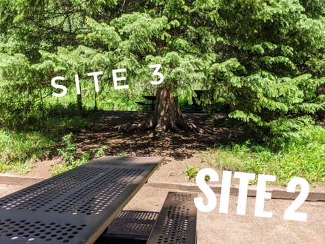 White River National Forest Silver Bell Campground Camping | The Dyrt