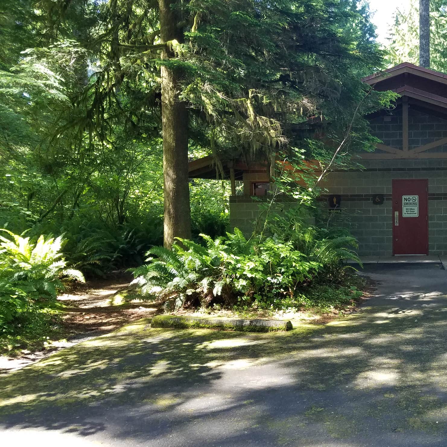 Cresap Bay Campground | Cougar, Washington