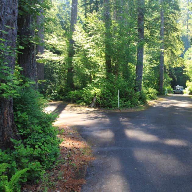 Cresap Bay Campground Camping | The Dyrt