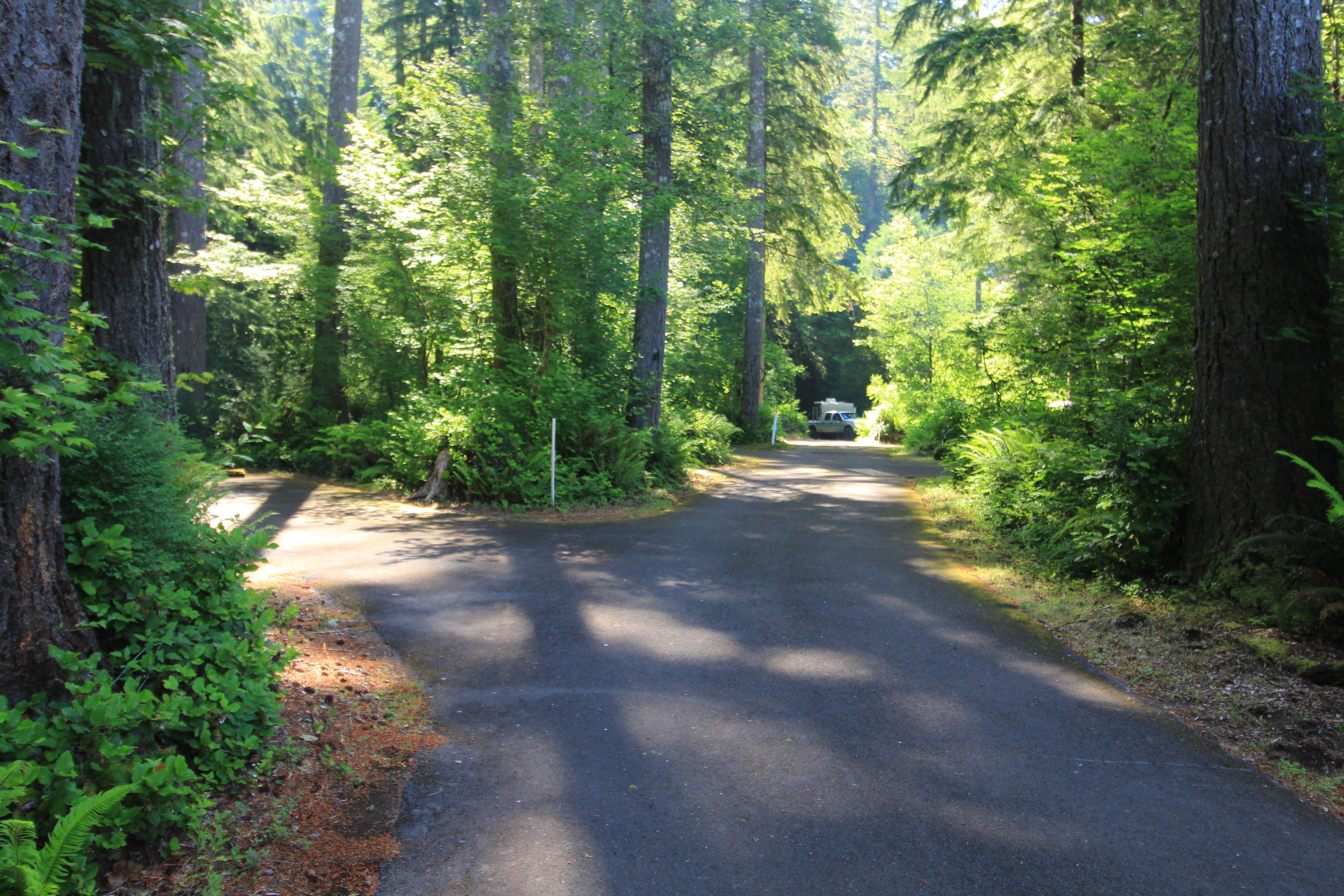 Cresap Bay Campground | Cougar, Washington