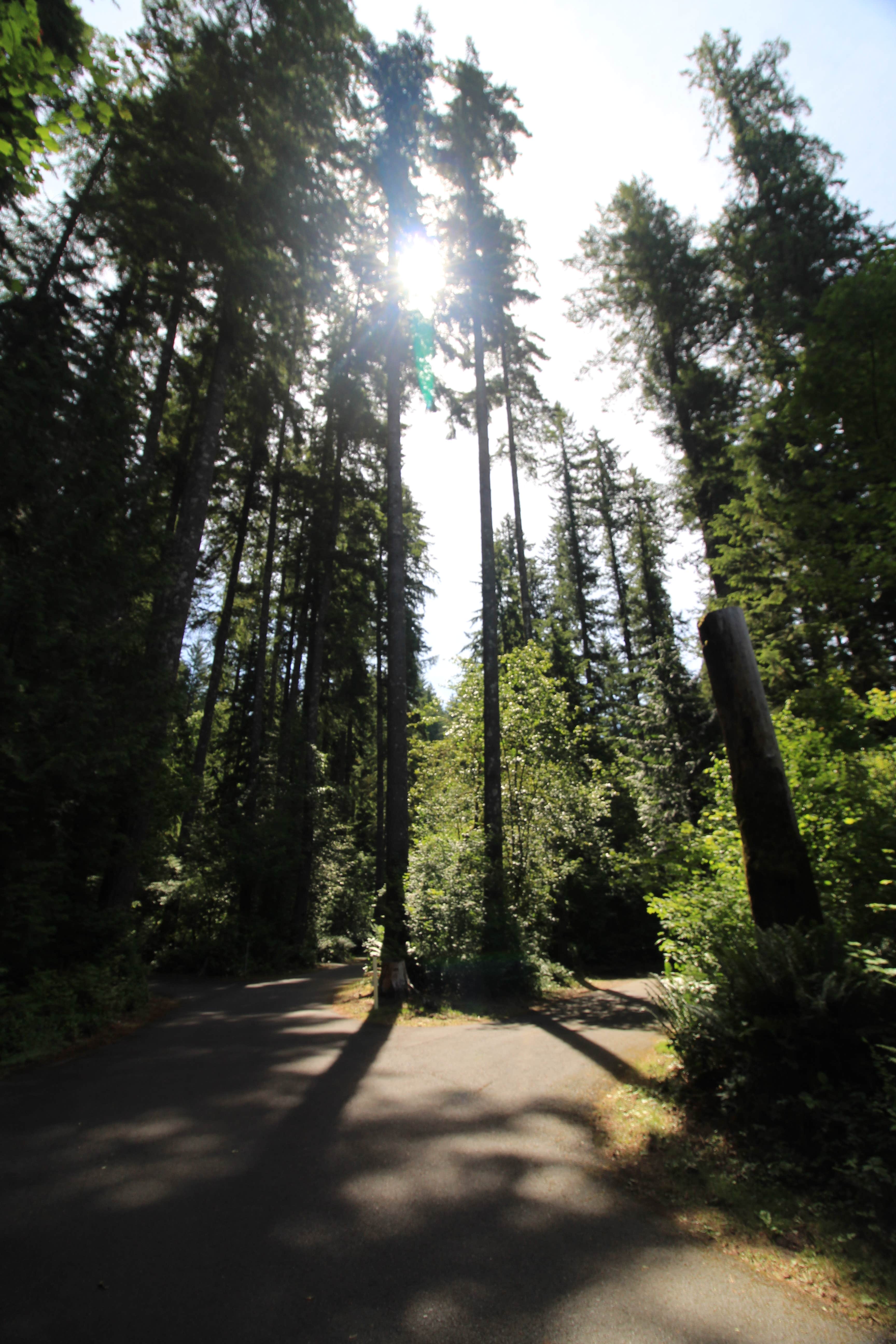 Cresap Bay Campground | Yale, WA