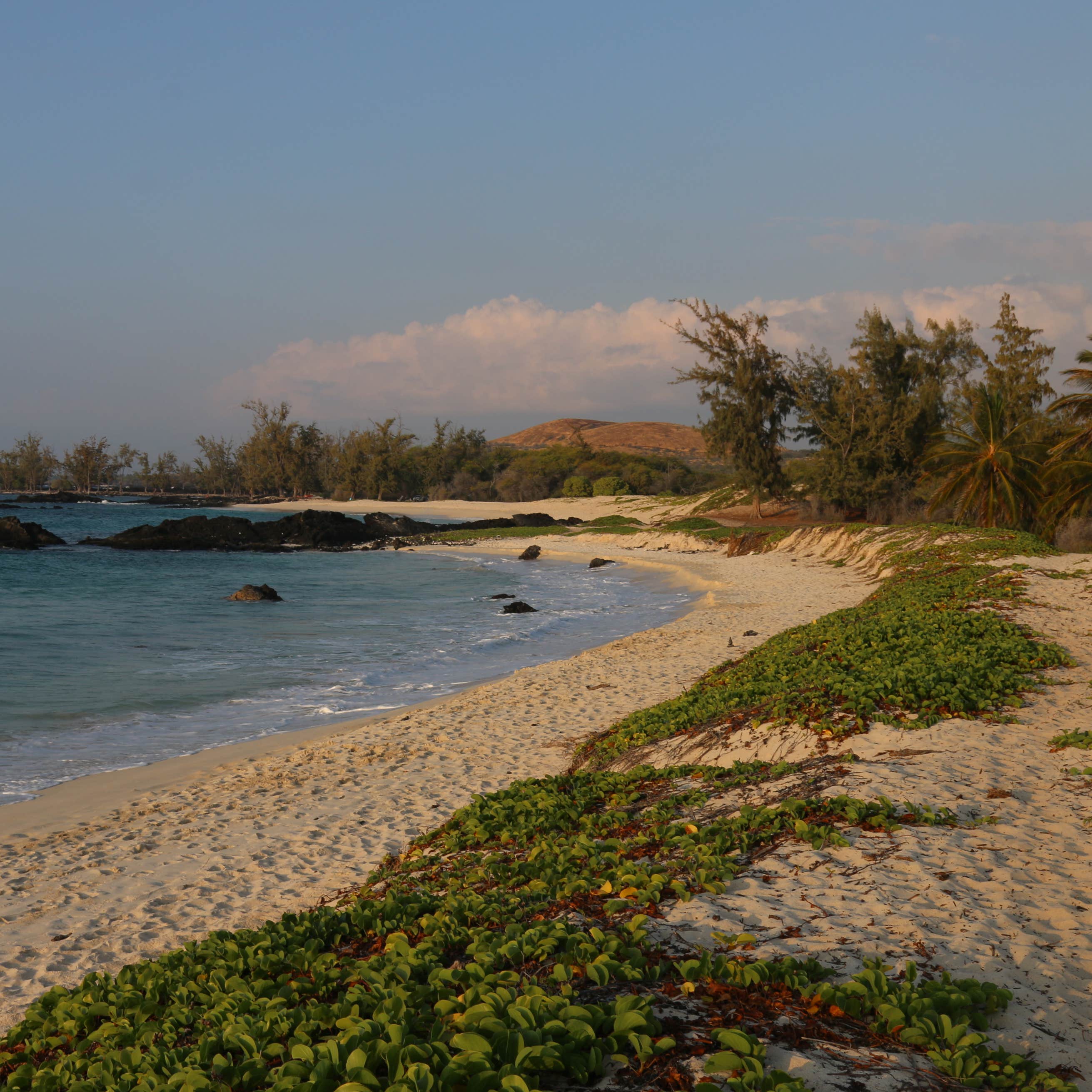 Spencer Beach Park Camping | The Dyrt